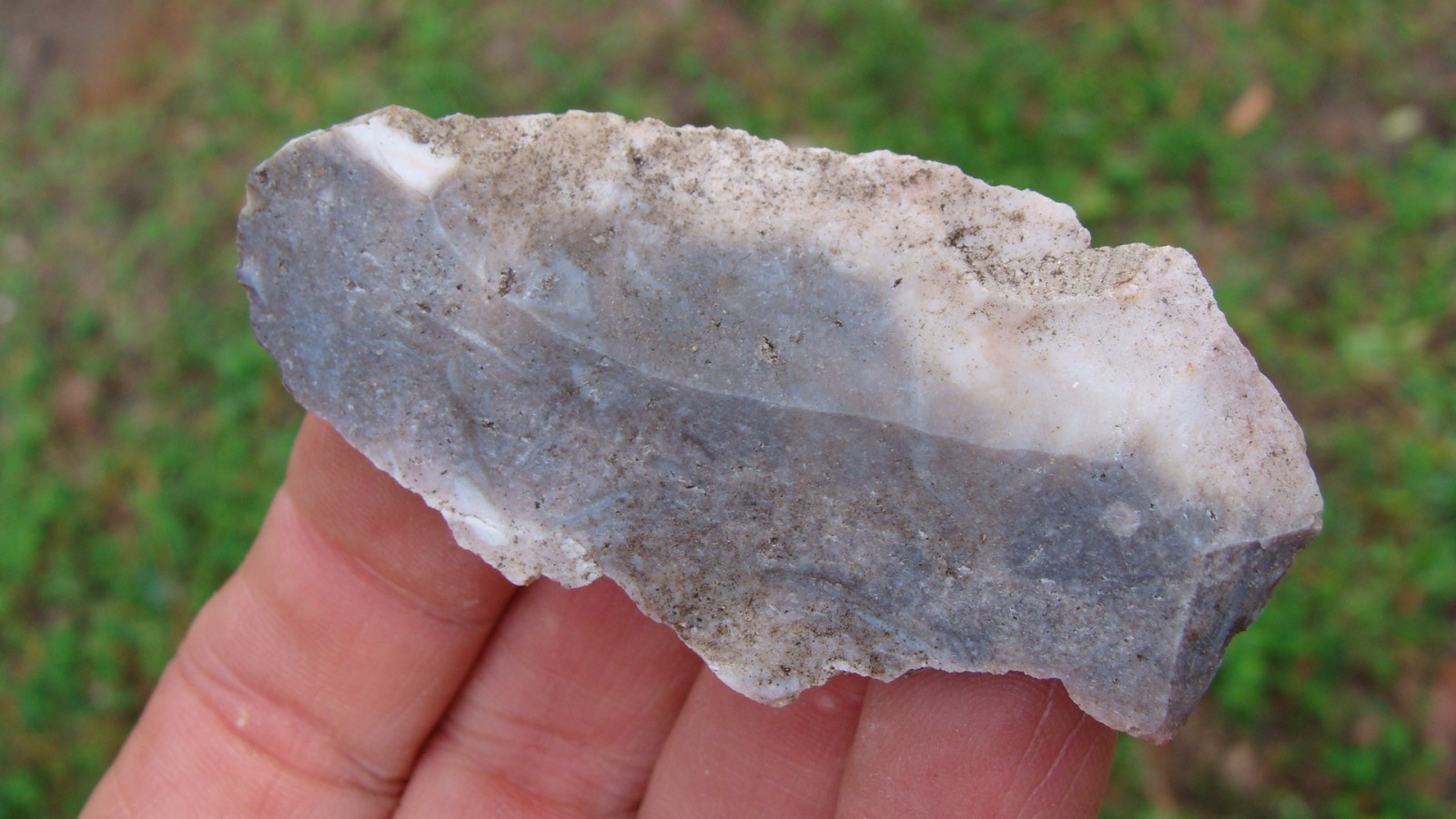 Fossil Shell KNIFE Deep South Arrowhead ~71~ | eBay
