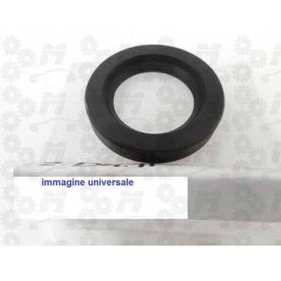 Rubber Lip Seal With Clamping Spring for Different Applications | eBay