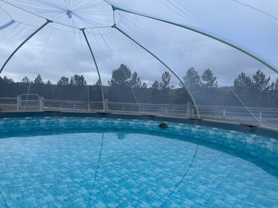 FLEXNET DOME Pool Net Dome for 16’ to 18’ Diameter Above Ground Pools ...