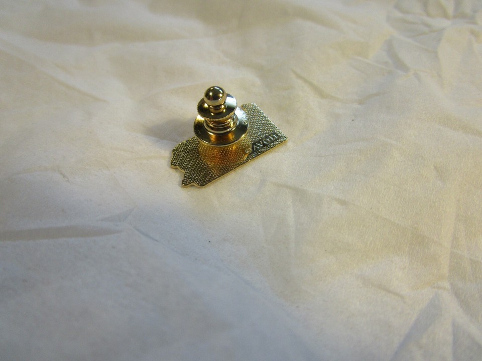 Avon Pennsylvania State Design Pin Lapel ~ Gold Toned Metal Pin Back ...