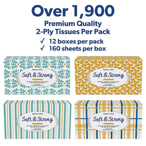 Member's Mark 2-Ply Unscented Facial Tissue (12 Count,160 tissues per ...