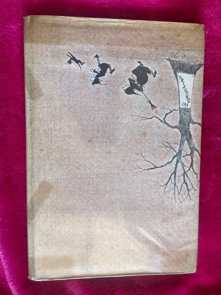 DORRIE AND THE FORTUNE TELLER. PATRICIA COOMBS. HARDCOVER WJACKET. 1973 ...