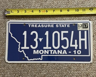2010 Montana License Plate 13-1054H White/Blue Treasure State Ex ...