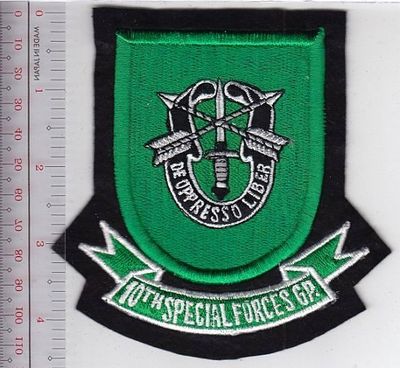 Green Beret US Army 10th Special Forces Group Airborne Flash & SF NO ...