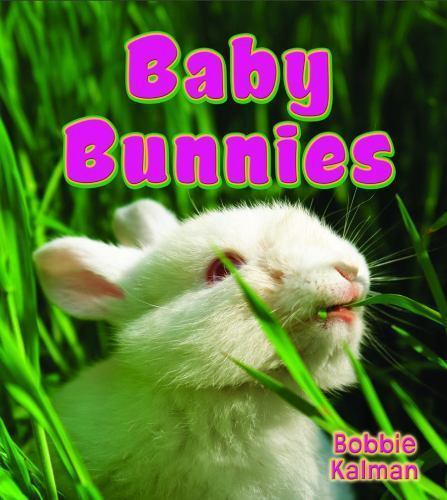 Baby Bunnies by Bobbie Kalman (2010, Trade Paperback) for sale online ...