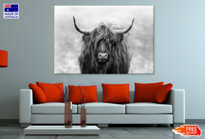 Scottish highlander Netherlands Wall Canvas Home Decor Australian Made ...