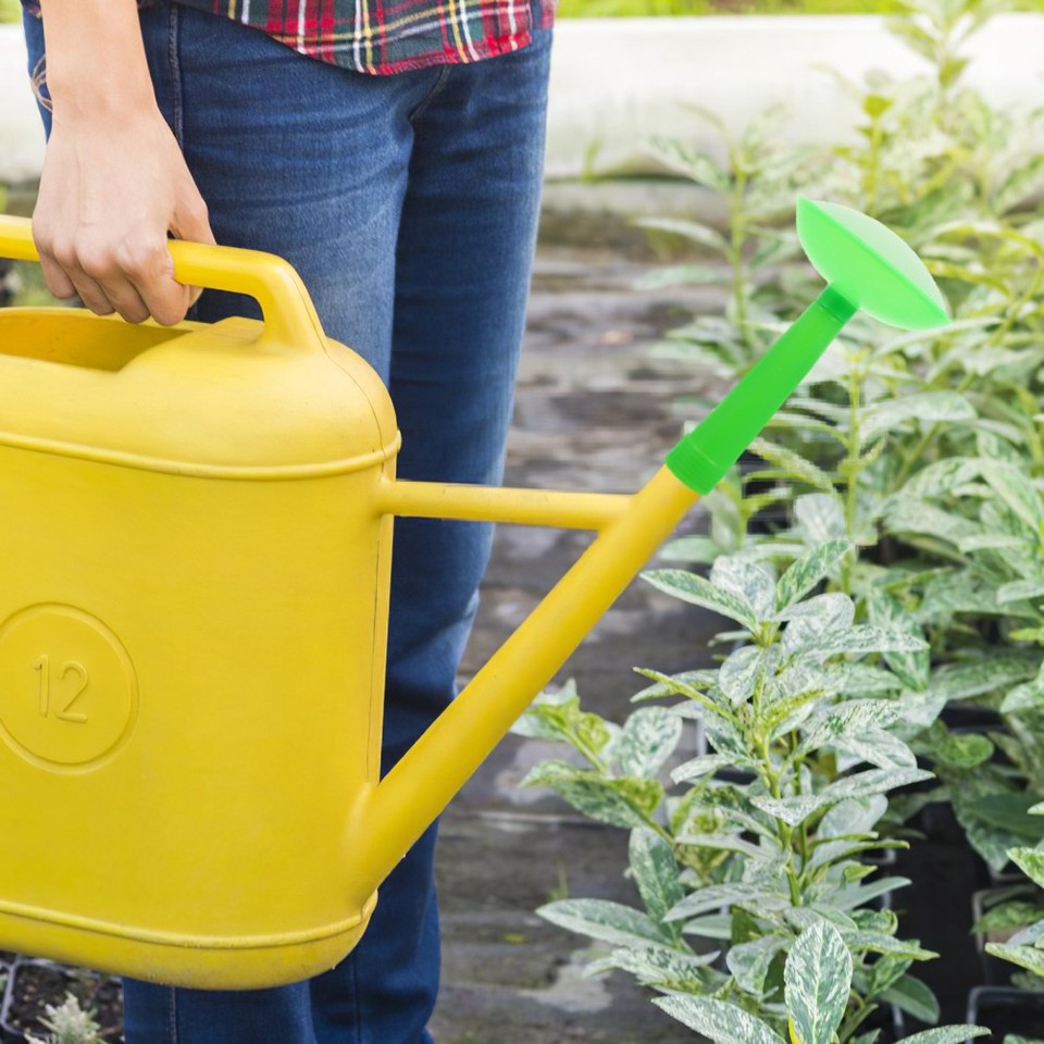 2 Pcs Watering Bottle Top Adapter Bulk Sprinkler Nozzle Replacement ...