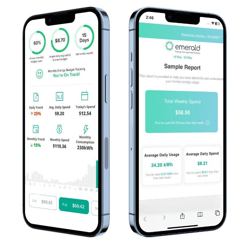 Emerald Planet EMS Electricity Advisor ( Free Postage ) | eBay