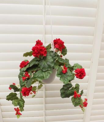 ARTIFICIAL RED GERANIUM PLANT IN WHITE PLASTIC HANGING POT SMALL NEW | eBay