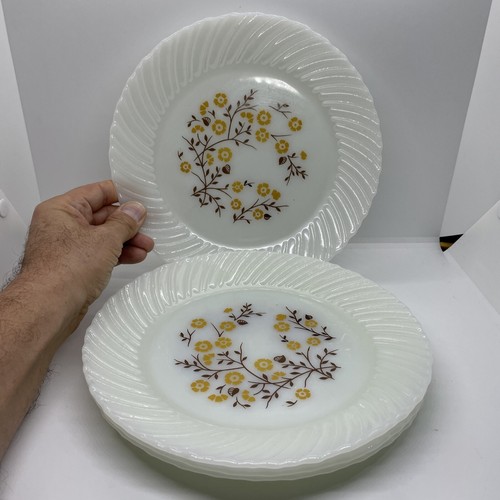 Termocrisa Mexico Set Of 6 Vtg. Milk Glass Yellow & Brown Floral Dinner ...