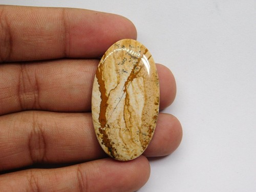 Top 100% Natural African Picture Jasper Cabochon Loose Gemstone 43 Cts ...