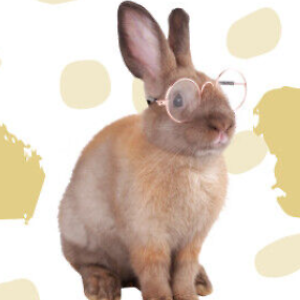 Abigail Bunny Vintage | eBay Stores