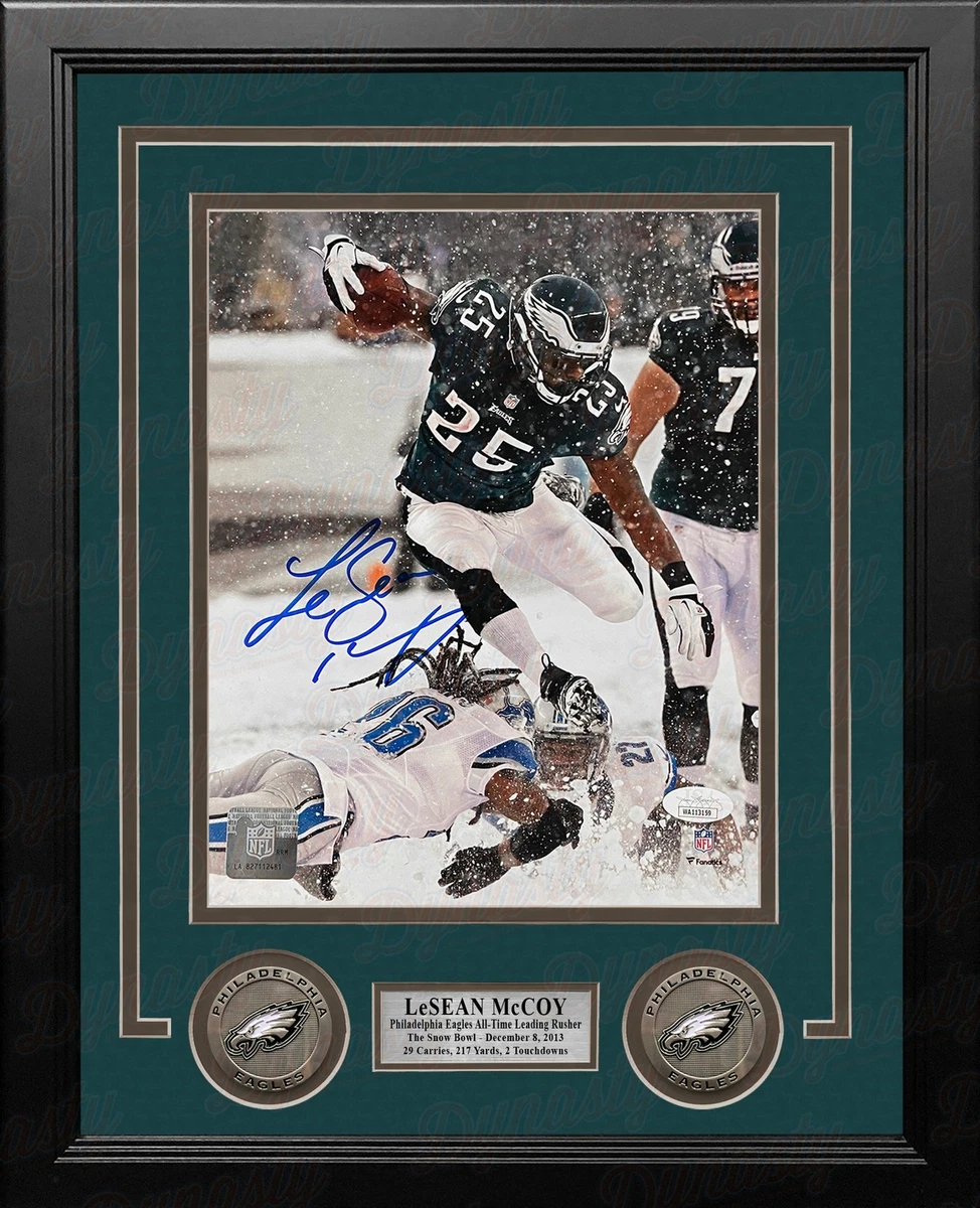 Lesean Mccoy Snow Bowl