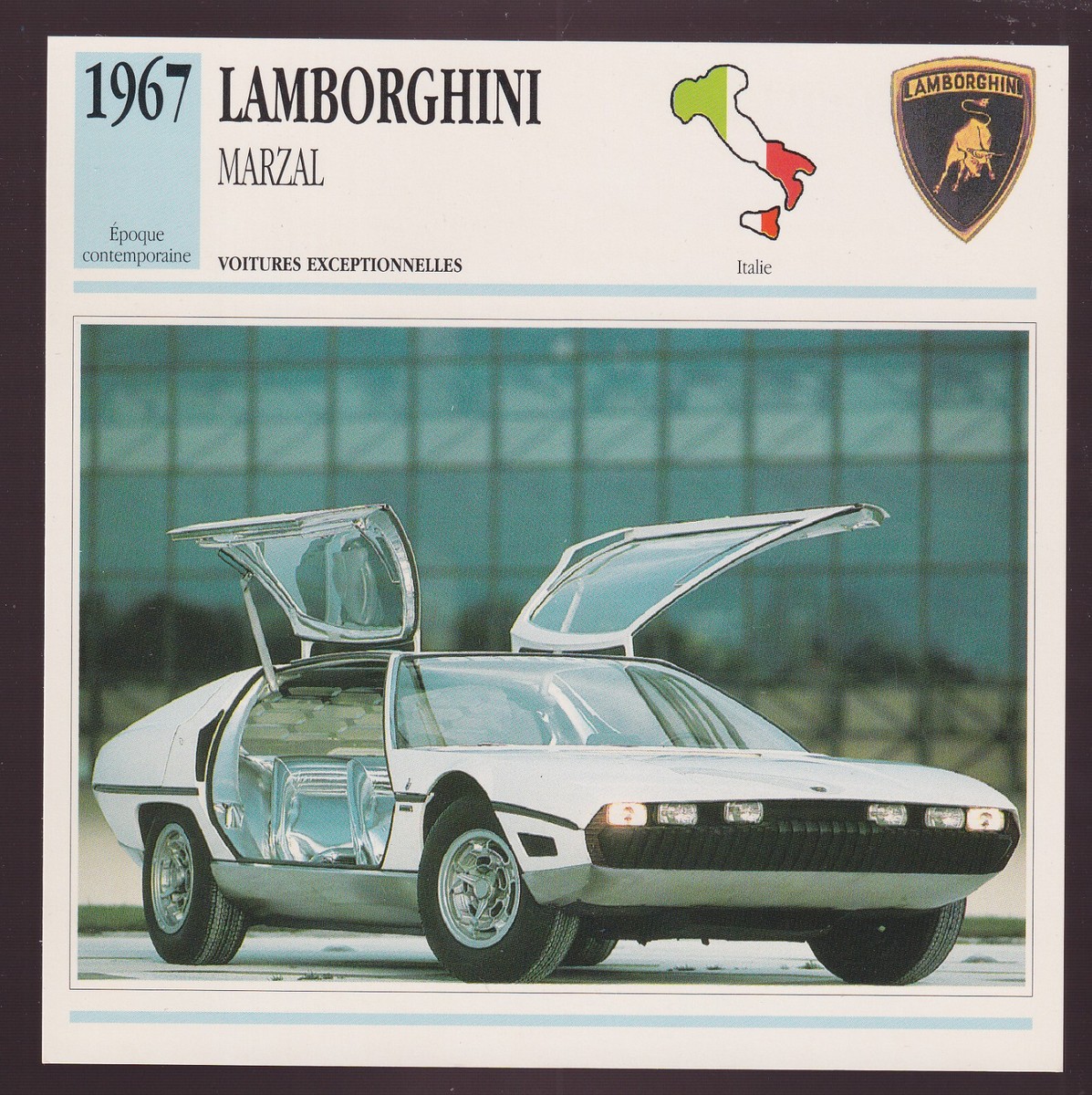 Lambo Marzal Related Keywords
