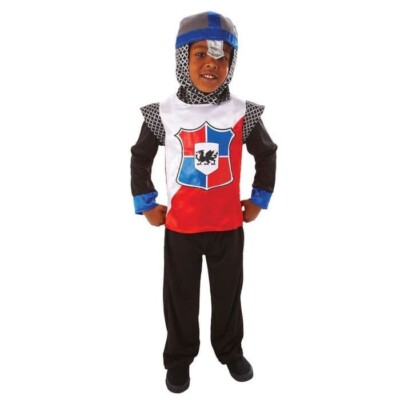 Boys Knight Of The Realm Costume | eBay UK