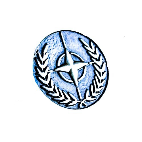 FOREIGN PROFESSIONAL NATO LAPEL/PIN | eBay