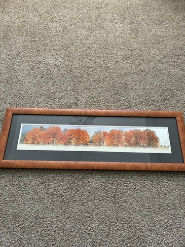 Beautiful Fall Country Picture With Frame & Matting | eBay