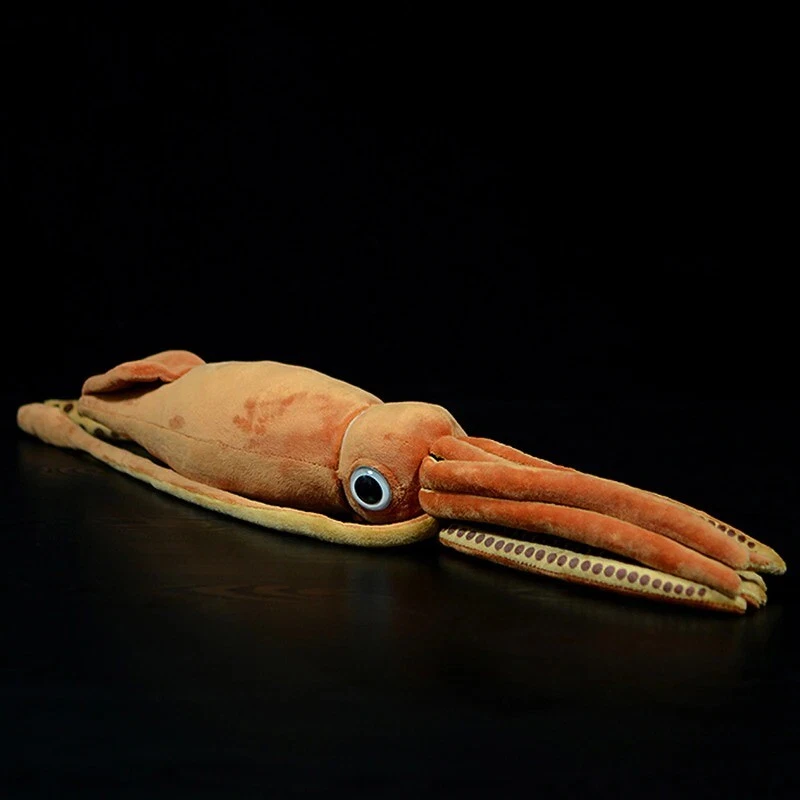 Cute Giant Squid