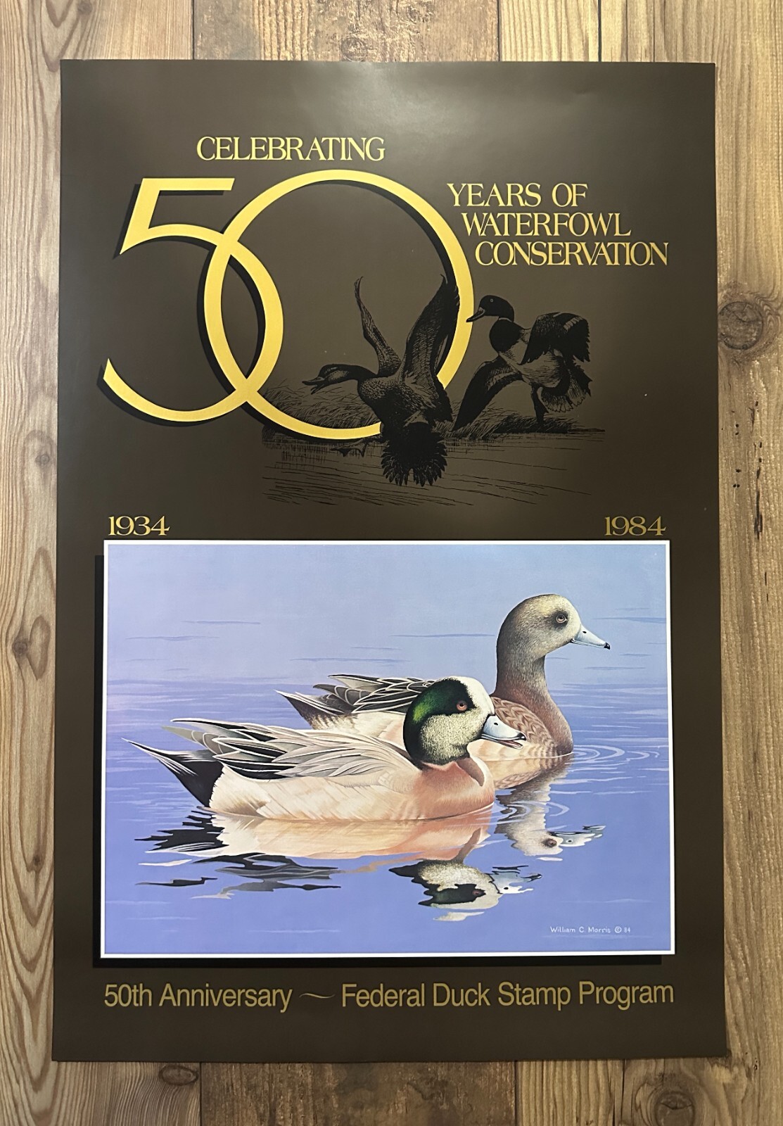 #RW51 1984 - Official USFWS Duck Stamp - LotP - Poster 16" x 24" | eBay