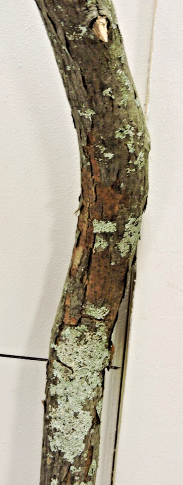 48" Hickory Wood Walking Stick Staff Carving Craft Crooked Handle 1 1/ ...