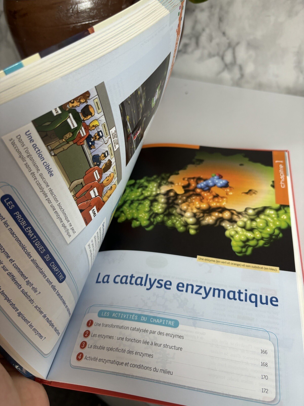 livre manuel scolaire lycée spécialité SVT TERMINALE S - Bordas | eBay