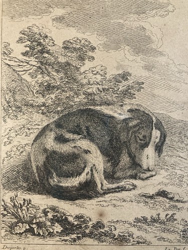 Beautiful Engraving Antique 18th Dog Chasse Jacques Philippe The Down ...