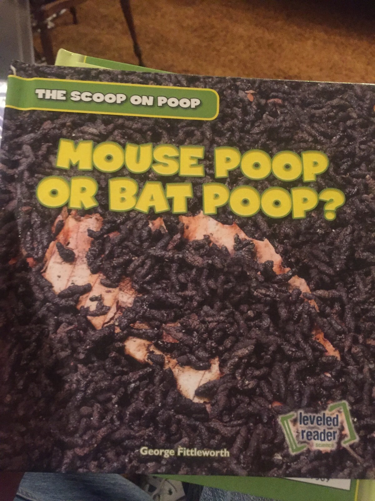 Mouse Poop or Bat Poop?------by George Fittleworth, --new ...