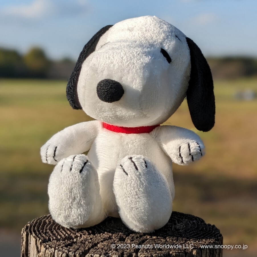 PEANUTS SNOOPY Friends Bean Doll Snoopy Plush toy 13cm / 5.1-inch ...