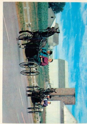 Postcard Two Amish Courting Buggies Amish Country Pennsylvania, PA | eBay
