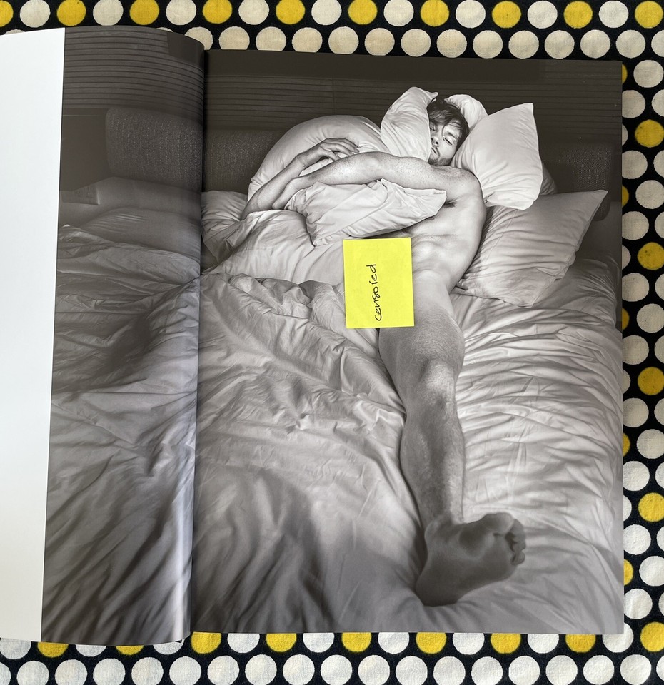 Gruenholtz: The Fine Art of Erections (Hardback) Book | eBay