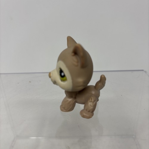 LPS Littlest Pet Shop #358 Tan Husky With Green Eyes Hasbro 2000 | eBay