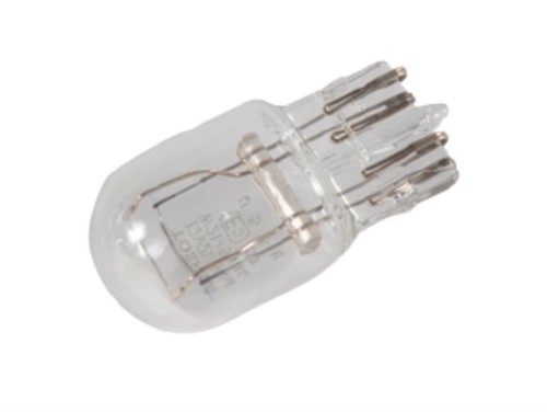 Genuine GM Backup Lamp Bulb 15224109 for sale online | eBay