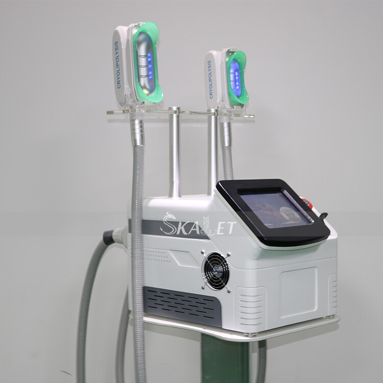 360 Degree Cryotherapy Double Chin Removal Fat Removal Sculpting ...