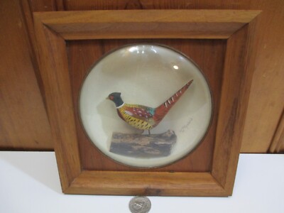 William Reinbold Carved Pheasant Diorama Signed Domed Glass Folk Art ...