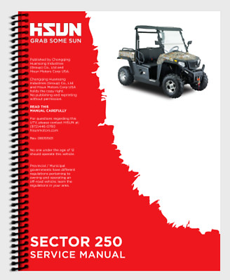 Hisun Sector 250 UTV Outfitter Massimo Gunner Bennche Cowboy 250 ...