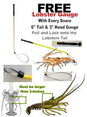 Yellow LOBSTER Snare Snair Tickle STICK Catch Bag Net bug Inn locking ...