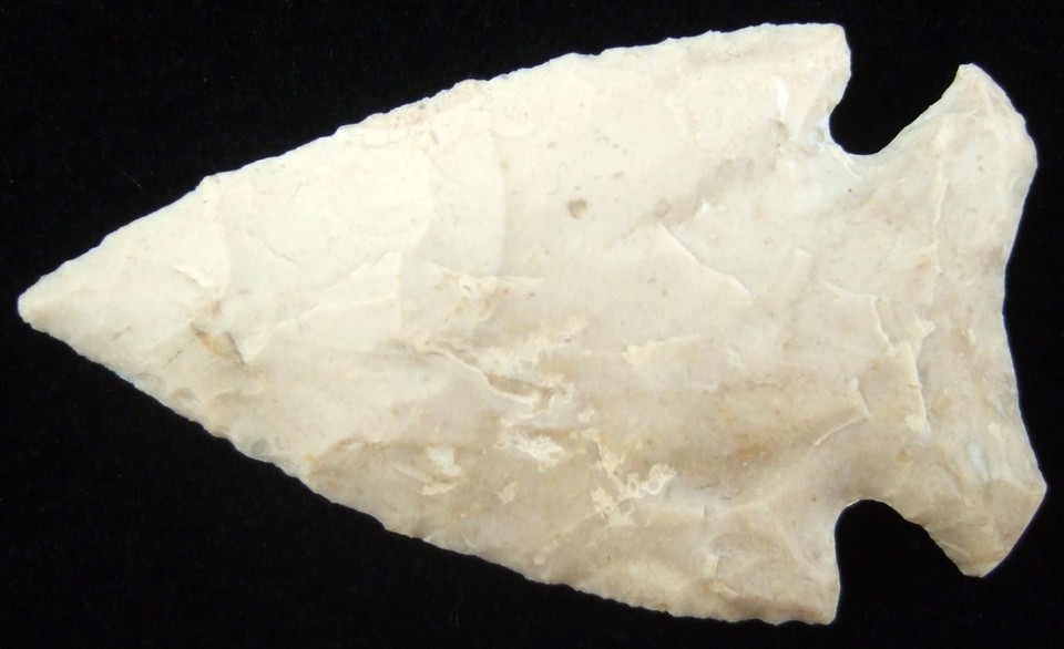 Exceptionally Fine 1 7/8 inch Missouri Pine Tree Point Arrowheads | eBay
