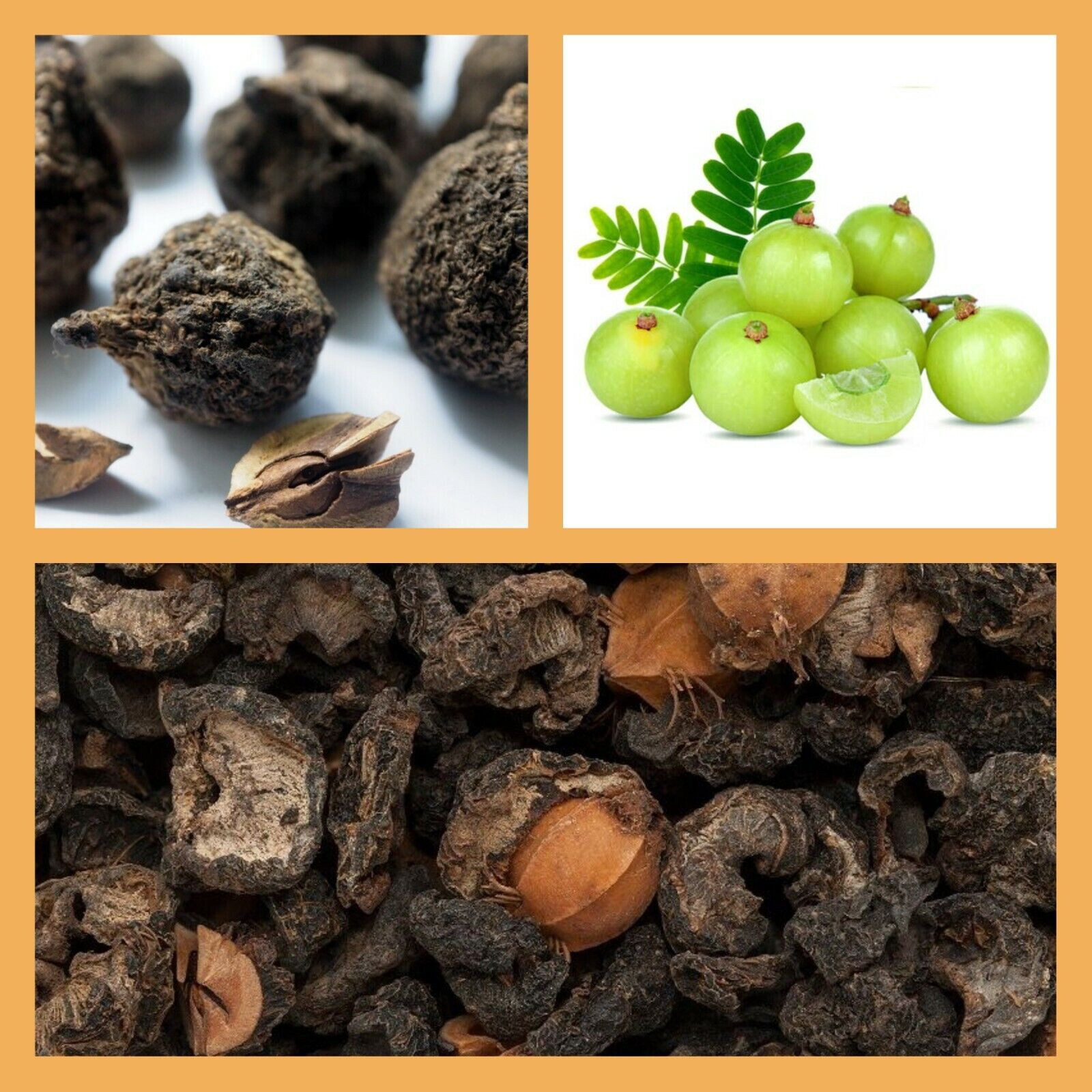 DRIED AMLA FRUIT (BEHETH NELLI) INDIAN GOOSEBERRY WHOLE HERBS 100g | eBay