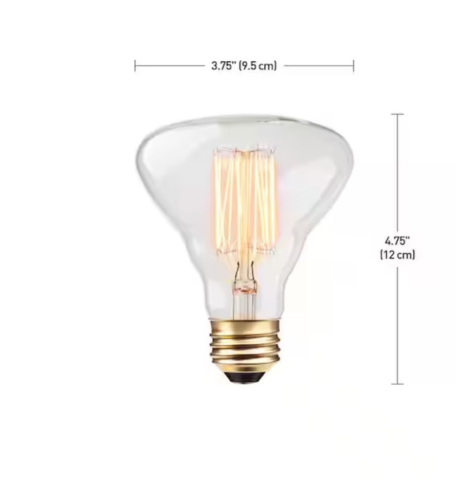 Globe Electric40 Watt Labo Shape Dimmable Cage Filament Vintage Edison ...
