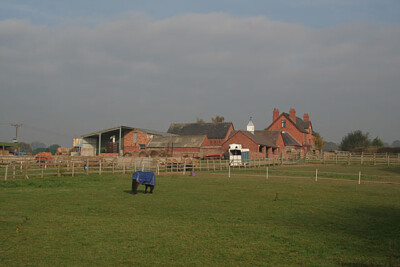 Photo 6x4 Strelley Park Farm Babbington As well as continuing with ...
