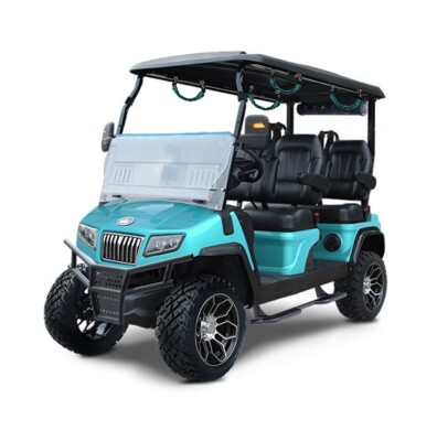 Evolution D5 Series Golf Cart Paracord Grip Handles | Turquoise | 2024 | 1 Year Warranty