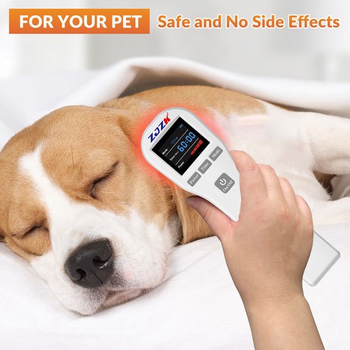 ZJZK Cold Laser Therapy 20 diodes for Dogs Cats Pets Treat Arthritis ...