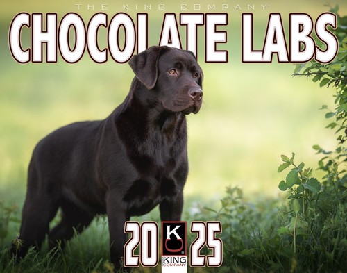 2025 Chocolate Labs Labrador Wall Calendar-The KING Company (FREE ...