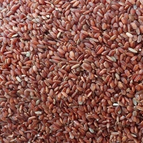 Wild Red Rice GMO free Premium Quality | eBay