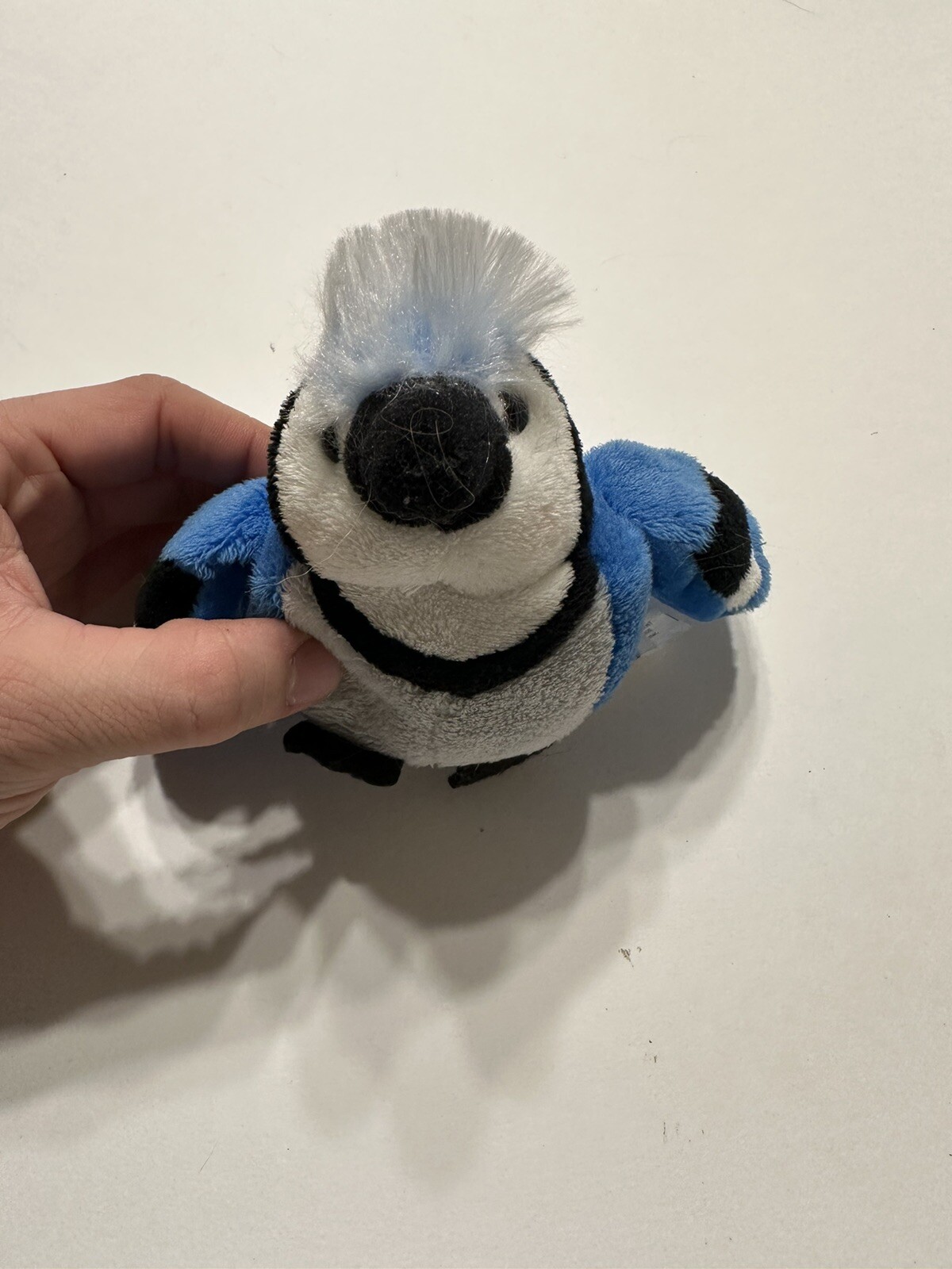 Webkinz Blue Jay