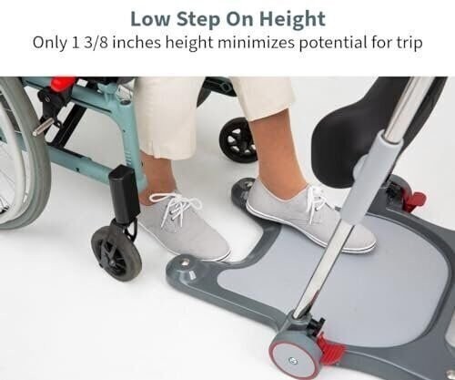 Molift Raiser Pro Sit-to-Stand Patient Lift for Elderly Assist ...