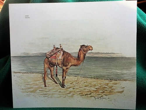 Camel Dead Sea Gordon Wetmore Promise Land Print to Frame Vintage | eBay