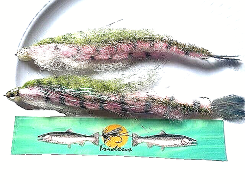 Morone Swimbait Two Soft baby trout drop shot Carolina rig 6 inches | eBay