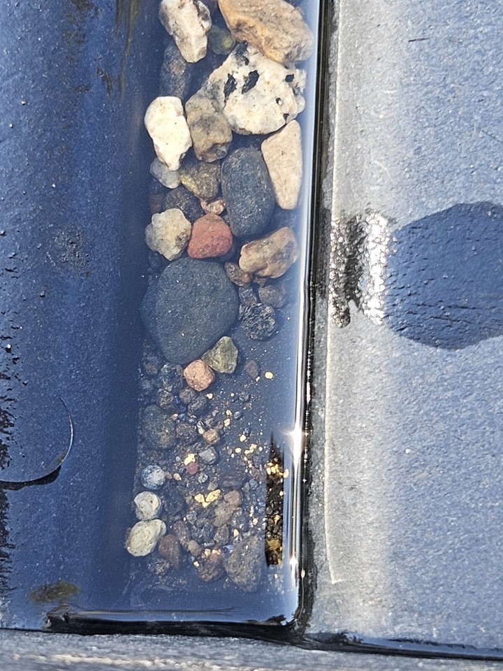 12 oz GOLD PAYDIRT unsearched + Added gold panning concentrates ...