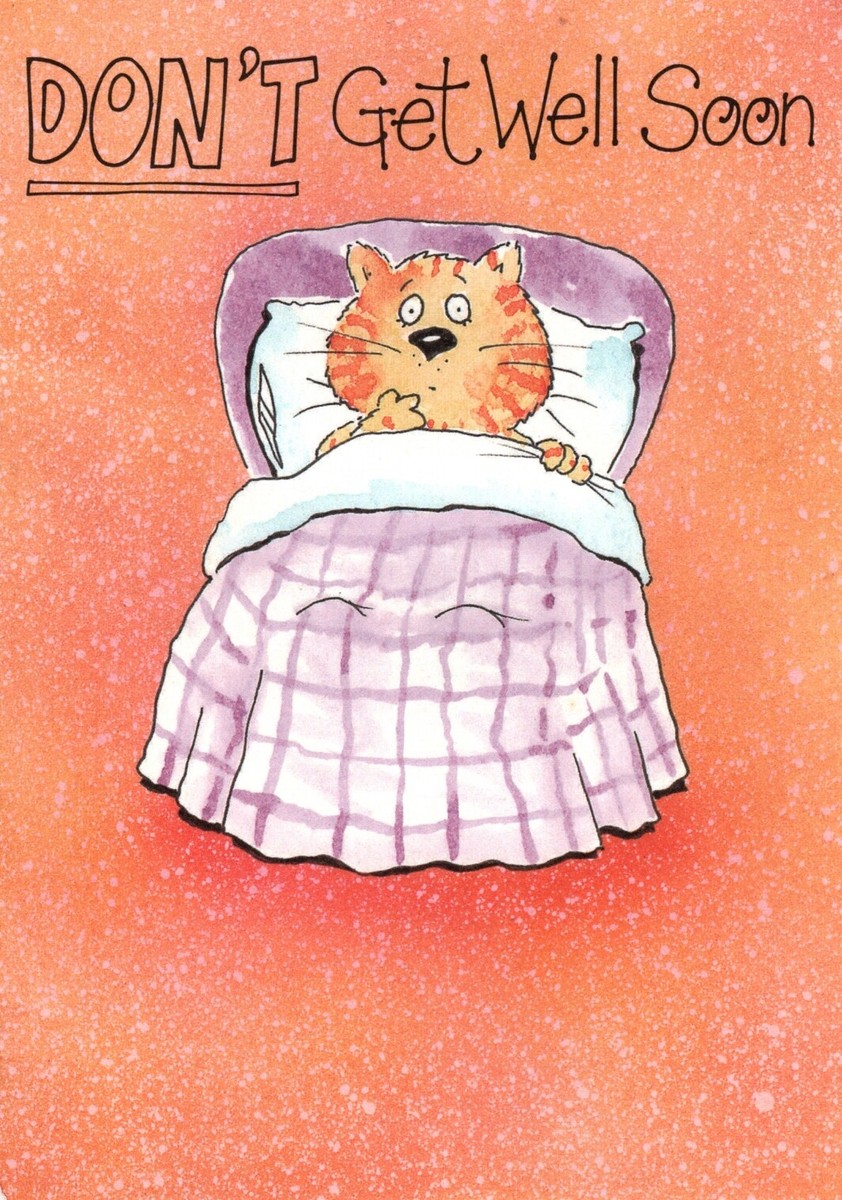 Get Well Soon Orange Cat